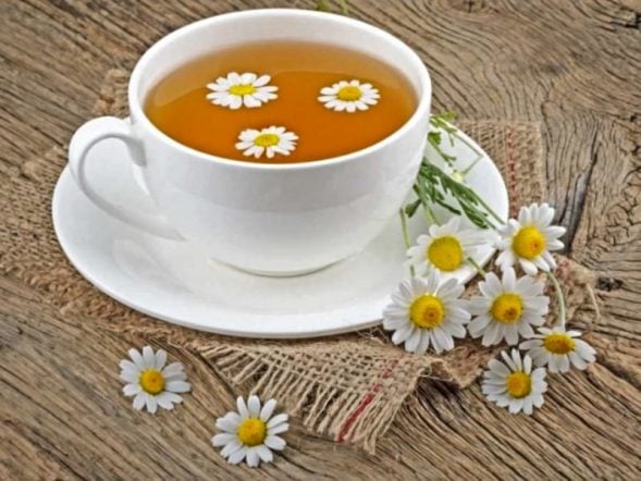 Matricaria - Usos y propiedades beneficiosas - Plantas medicinales